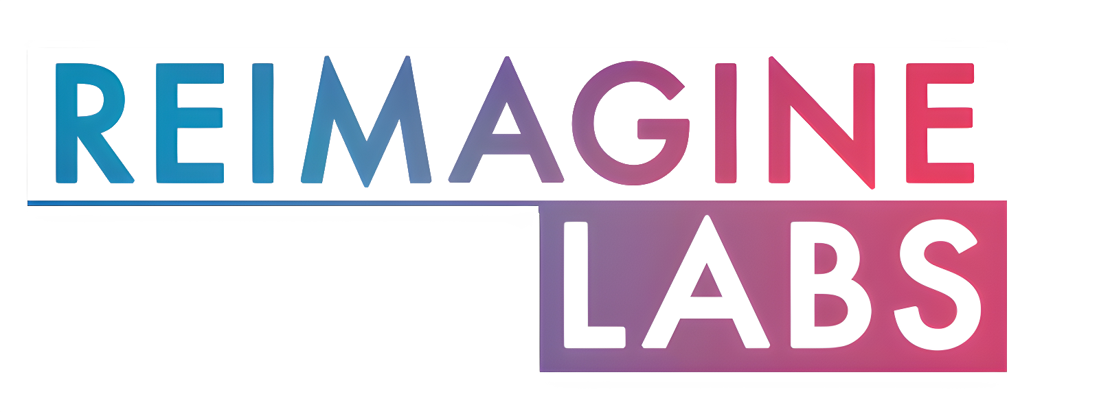 Reimagine Labs - AI-Powered Profit Engineering for D2C Brands